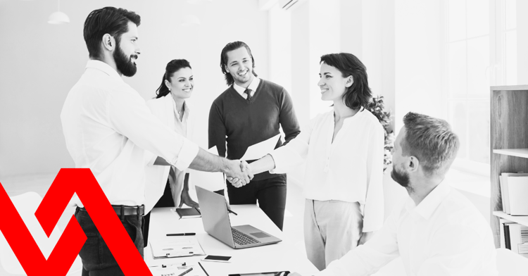 The Visible Authority | Building the high-performing consultancy